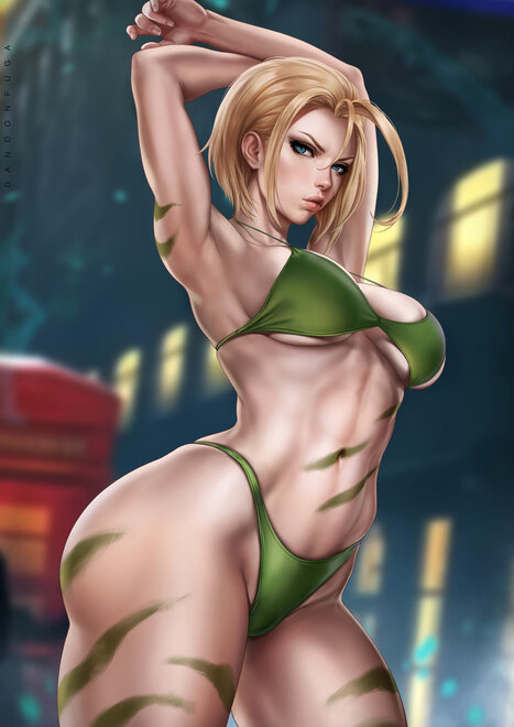 Sequenced Cammy Dandon Fuga Street Fighter Hentai 5 Porn Pic Eporner