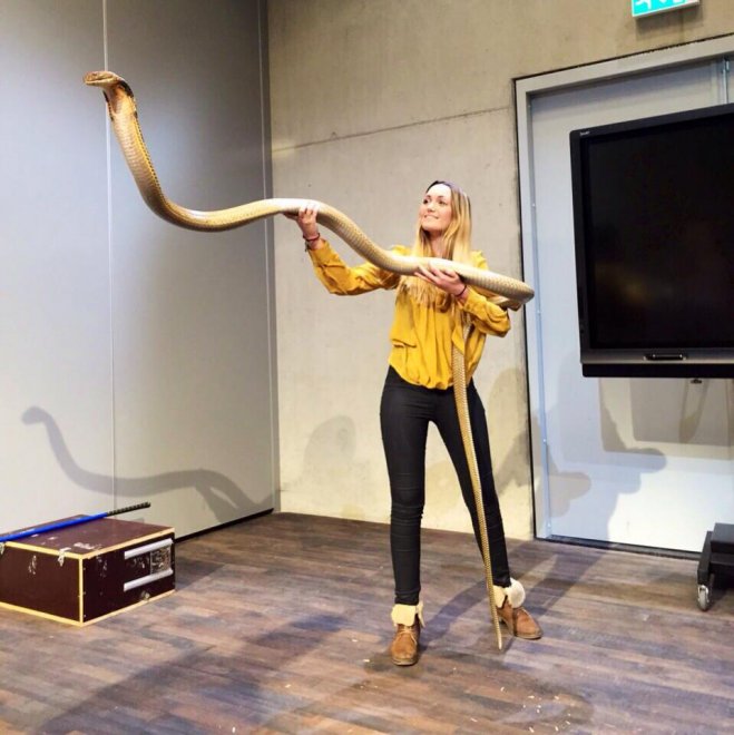 The Cobra Girl Porn Pic Eporner