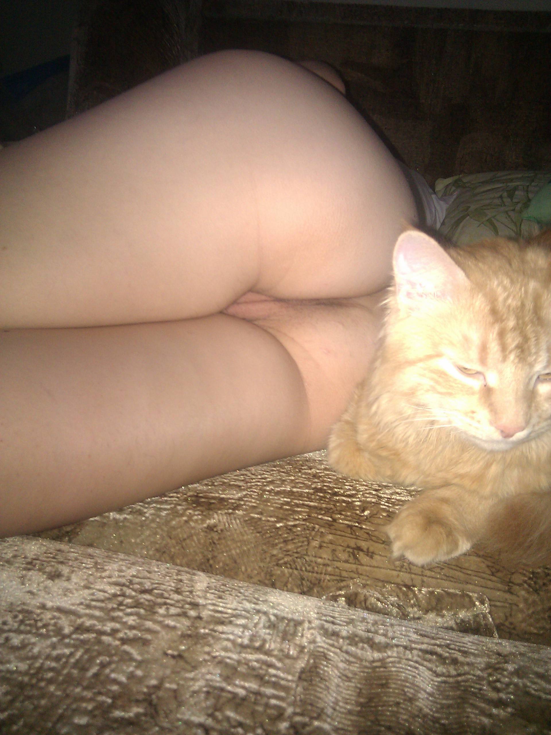 Pussy Cat Porn Pic Eporner 