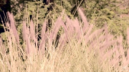 Summer Heat - S16:E4 - Veronica Rodriguez - EPORNER